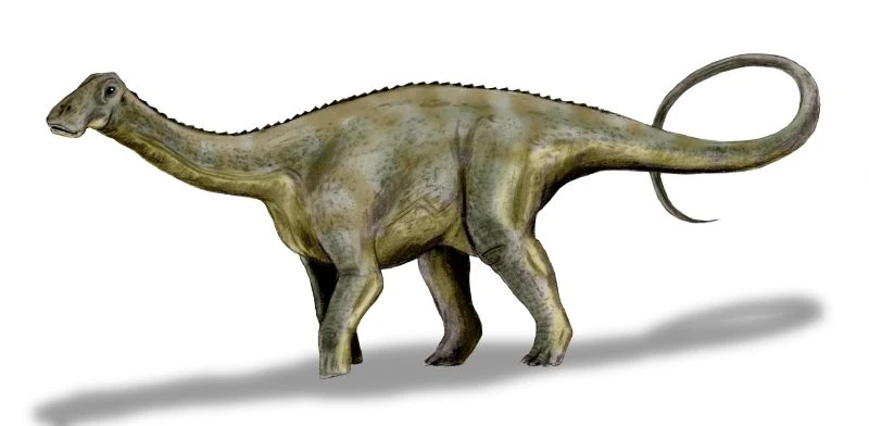Nigersaurus | Prehistoria Fandom | Fandom