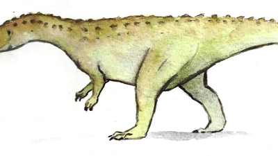 Discuss Everything About Prehistoria Fandom | Fandom