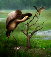 Wilaru | Prehistoria Fandom | Fandom