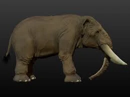 Stegomastodon | Prehistoria Fandom | Fandom