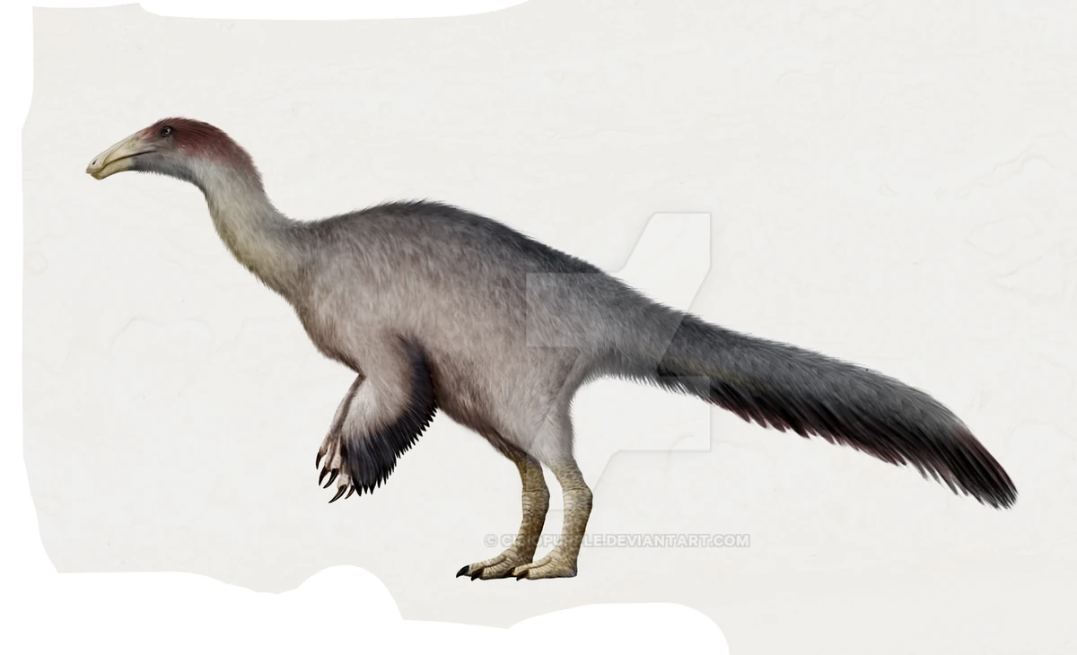 Paraxenisaurus | Prehistoria Fandom | Fandom