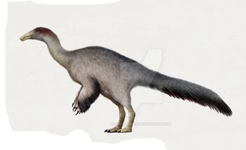 Paraxenisaurus | Prehistoria Fandom | Fandom