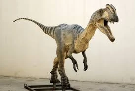 Zupaysaurus | Prehistoria Fandom | Fandom