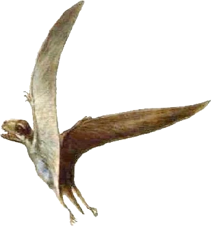 Batrachognathus | Prehistoria Fandom | Fandom