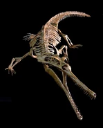 Champsosaurus | Prehistoria Fandom | Fandom