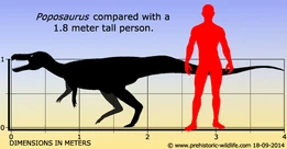 Poposaurus | Prehistoria Fandom | Fandom