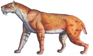 Homotherium | Prehistoria Fandom | Fandom