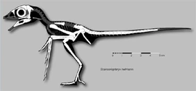 Epidendrosaurus | Prehistoria Fandom | Fandom