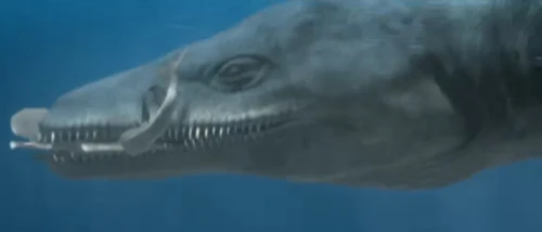 Kimmerosaurus | Prehistoria Fandom | Fandom