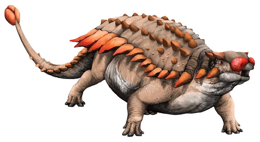 Pinacosaurus | Prehistoria Fandom | Fandom