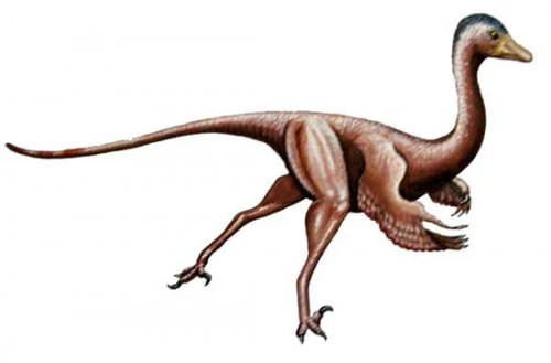 Sinusonasus | Prehistoria Fandom | Fandom