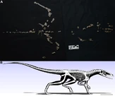 Lewisuchus | Prehistoria Fandom | Fandom