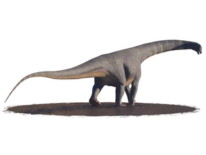 Arrudatitan | Prehistoria Fandom | Fandom