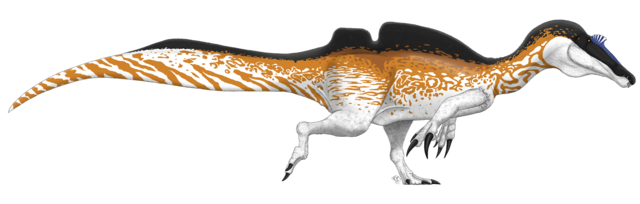Ichthyovenator Prehistoria Fandom Fandom