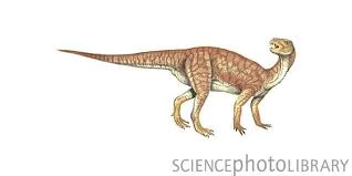 Lanasaurus | Prehistoria Fandom | Fandom