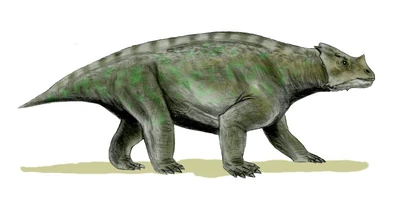 Arganaceras | Prehistoria Fandom | Fandom