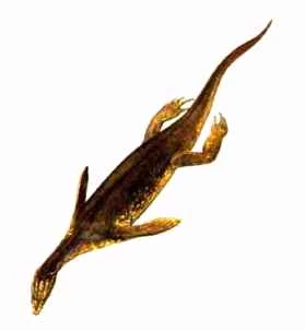 Corosaurus | Prehistoria Fandom | Fandom