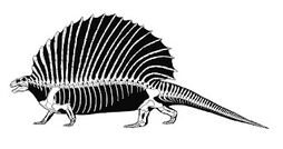 Edaphosaurus | Prehistoria Fandom | Fandom