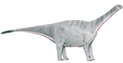 Zby | Prehistoria Fandom | Fandom