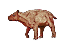 Leontiniidae | Prehistoria Fandom | Fandom