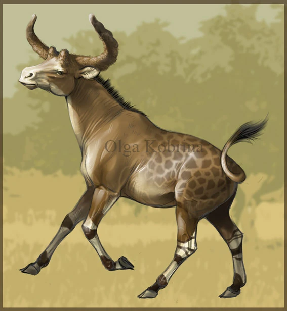 Hydaspitherium | Prehistoria Fandom | Fandom