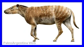 Eomorphippus | Prehistoria Fandom | Fandom