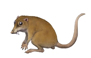 Cronopio | Prehistoria Fandom | Fandom