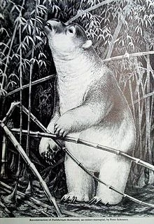 Hulitherium | Prehistoria Fandom | Fandom