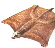 Planetetherium | Prehistoria Fandom | Fandom