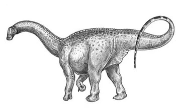 Chubutisaurus | Prehistoria Fandom | Fandom