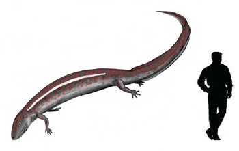 Eogyrinus | Prehistoria Fandom | Fandom