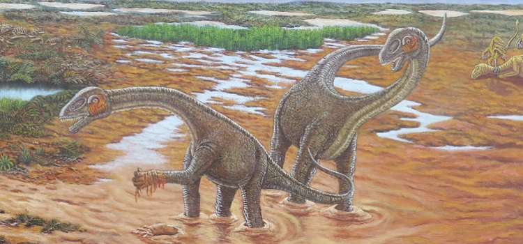 Mierasaurus | Prehistoria Fandom | Fandom