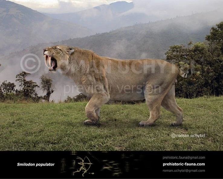Smilodon populator | Prehistoria Fandom | Fandom