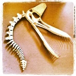 Guidraco | Prehistoria Fandom | Fandom