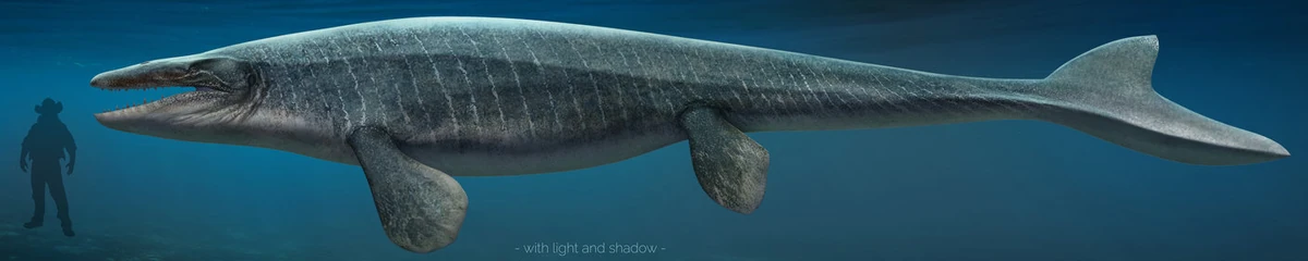 Mosasaurus | Prehistoria Fandom | Fandom