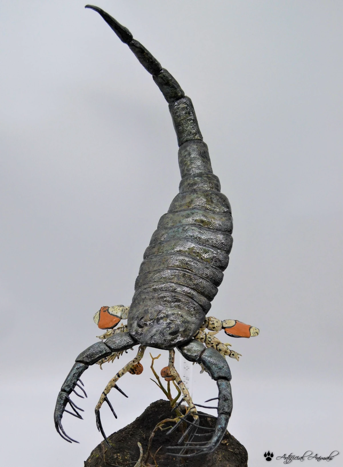 Mixopterus | Prehistoria Fandom | Fandom