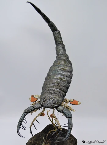 Mixopterus | Prehistoria Fandom | Fandom