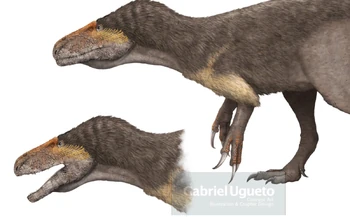 Marshosaurus | Prehistoria Fandom | Fandom