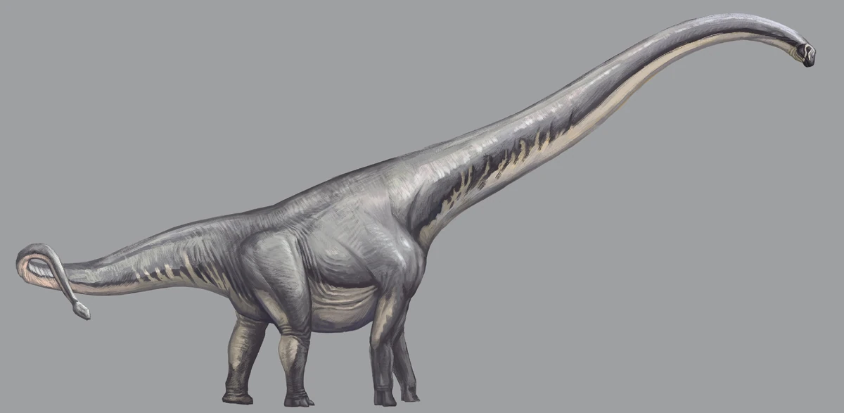 Categoría:Eusauropoda | Prehistoria Fandom | Fandom