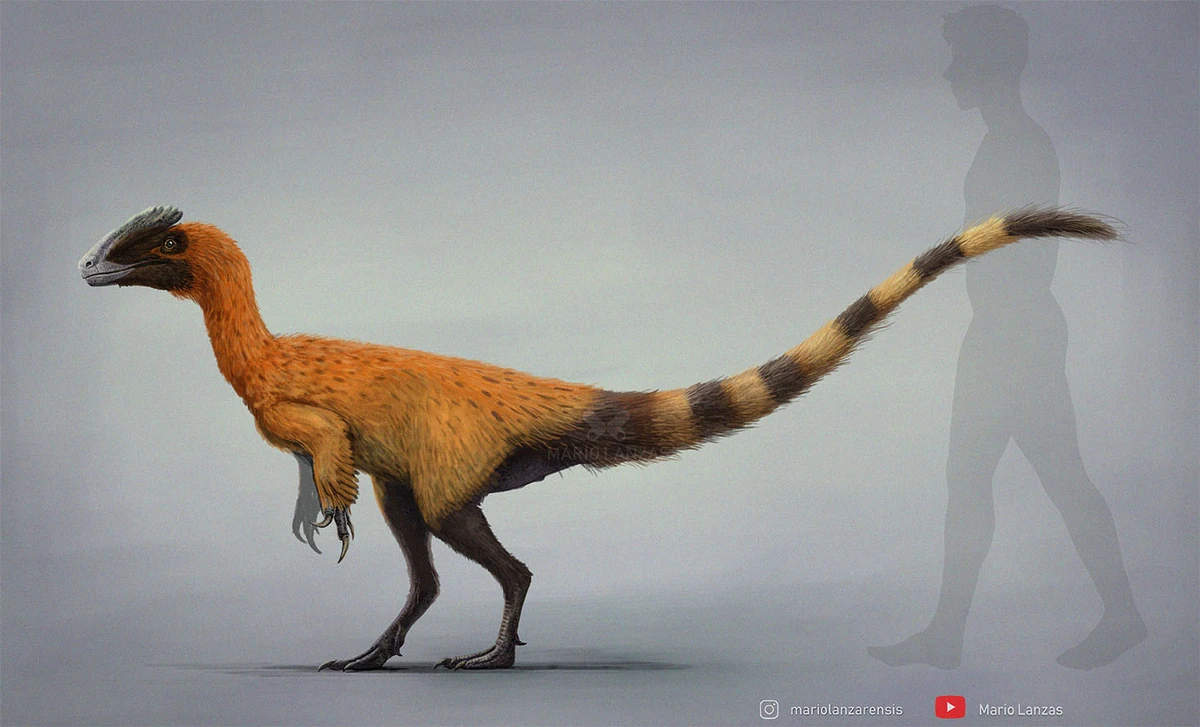 Guanlong | Prehistoria Fandom | Fandom