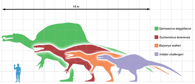 Spinosauridae | Prehistoria Fandom | Fandom