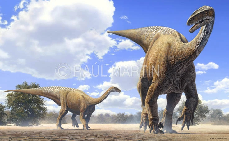 Raetiano | Prehistoria Fandom | Fandom