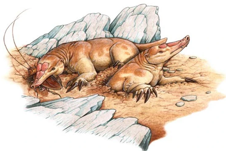 Necrolestes | Prehistoria Fandom | Fandom