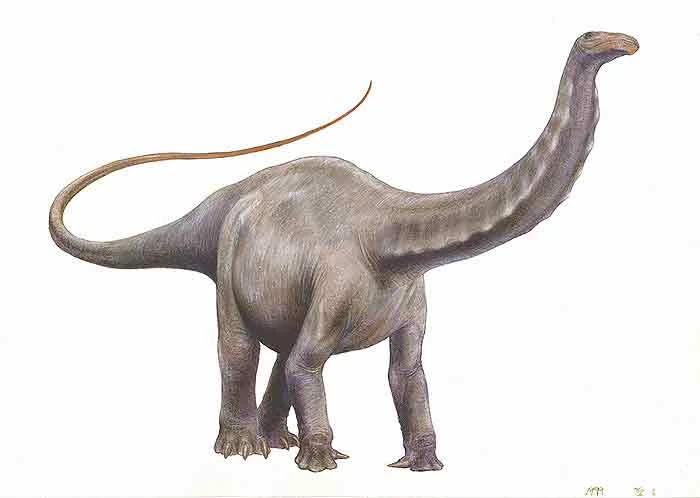 Atlantosaurus | Prehistoria Fandom | Fandom