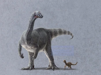 Mussaurus | Prehistoria Fandom | Fandom