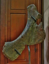 Narindasaurus | Prehistoria Fandom | Fandom