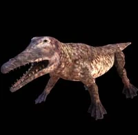 Ambulocetus | Prehistoria Fandom | Fandom