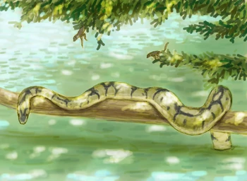 Pterosphenus | Prehistoria Fandom | Fandom