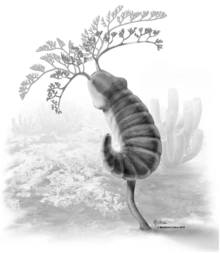 Herpetogaster | Prehistoria Fandom | Fandom
