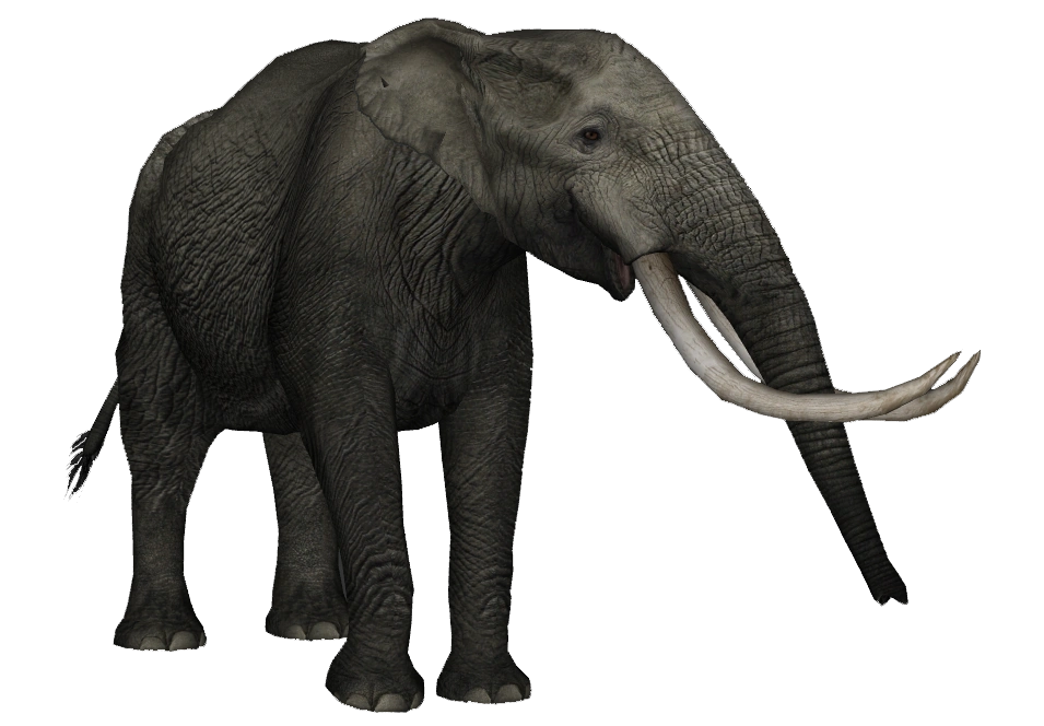 Sinomastodon | Prehistoria Fandom | Fandom